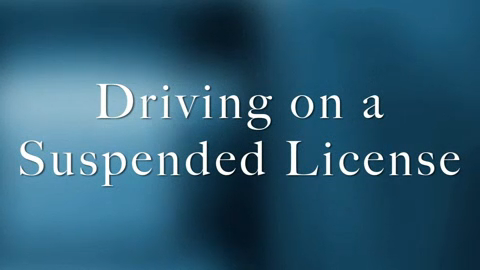 Driving_on_Susp_Lic_Tayac_20180815024545.png