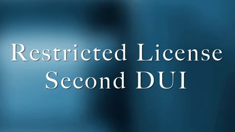Restrict_Lic_2_DUI_Tayac_20180815024828.png